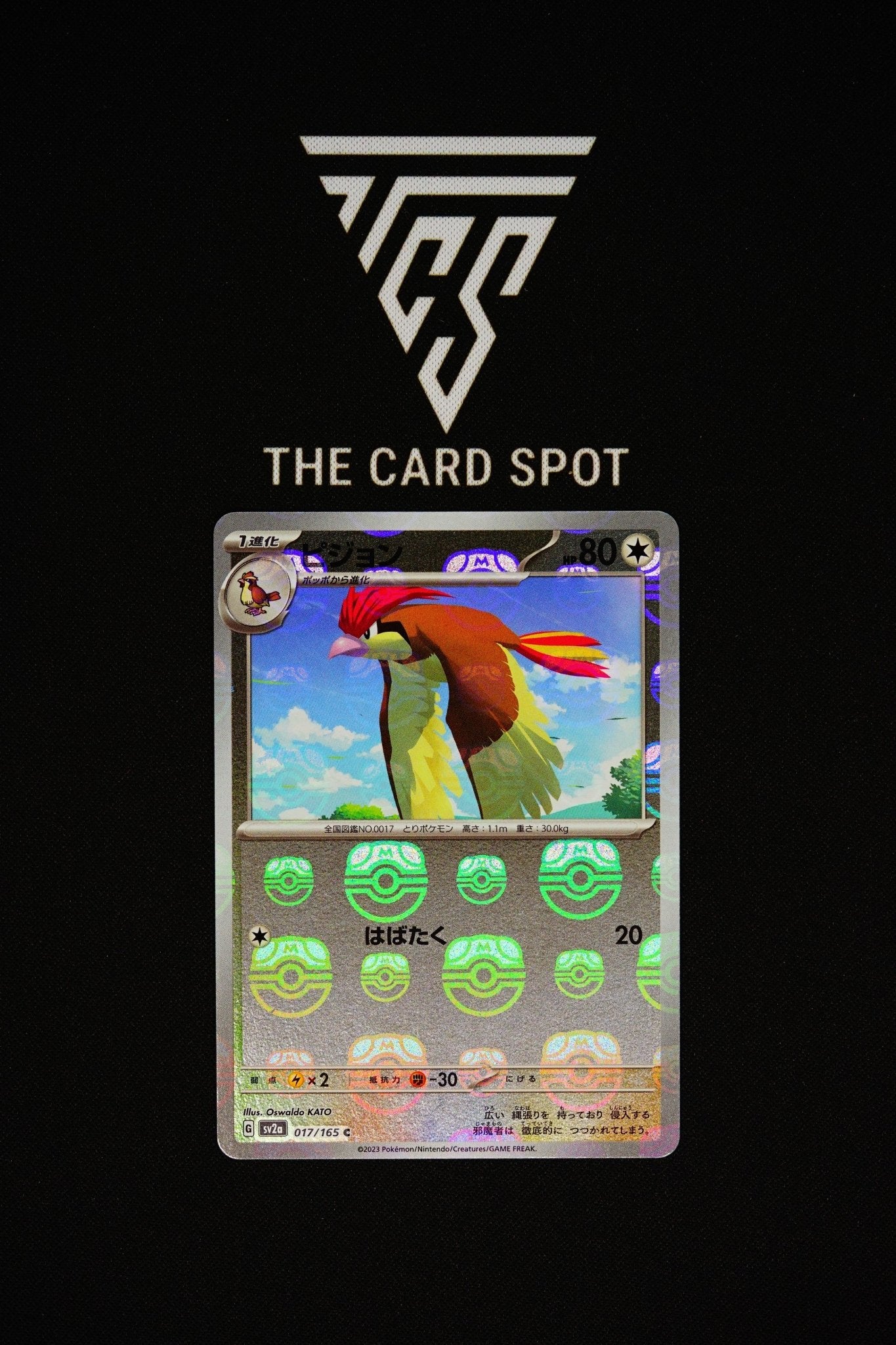 017/165 Pidgeotto Master Ball - Pokemon TCG – THE CARD SPOT PTY LTD.