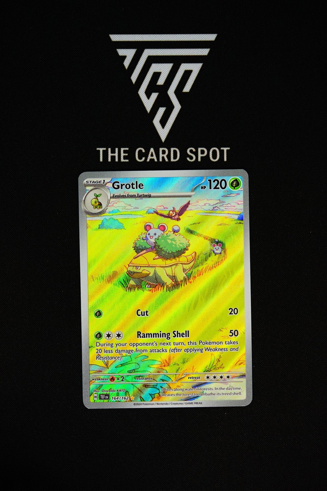 164/162 - Grotle - Pokemon TCG – THE CARD SPOT PTY LTD.